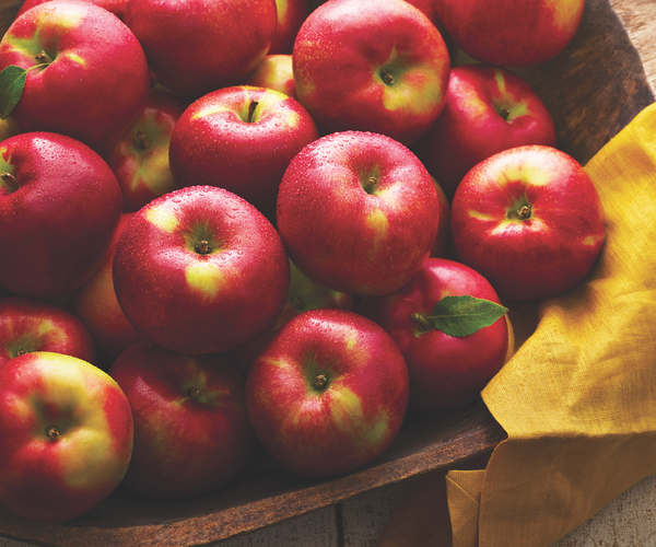 Orchard Gems: The 5 Best Vermont Apples To Pick This Fall – Cold Hollow ...
